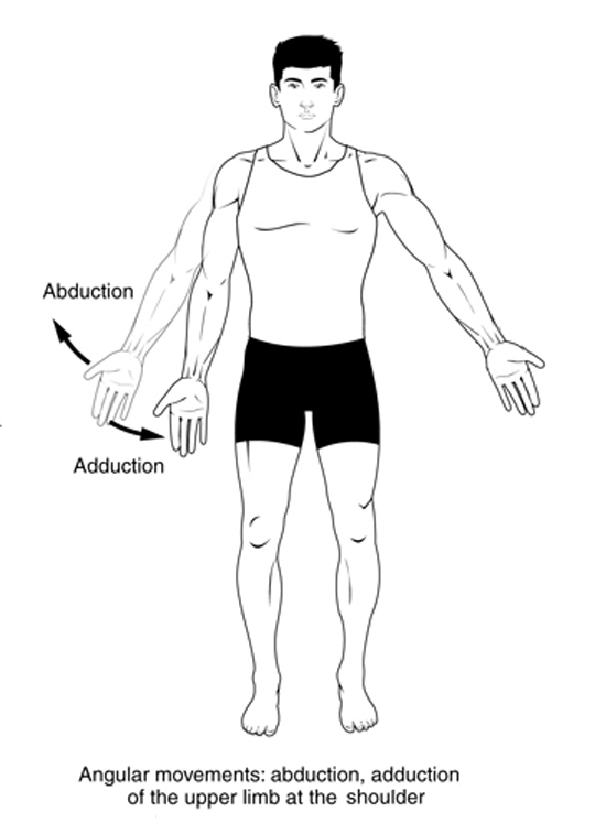 Motion & Strength - 1. Introduction to descriptive anatomy - Federica.EU