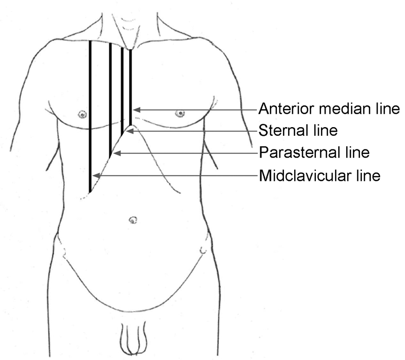 Motion & Strength - 1. Introduction to descriptive anatomy - Federica.EU