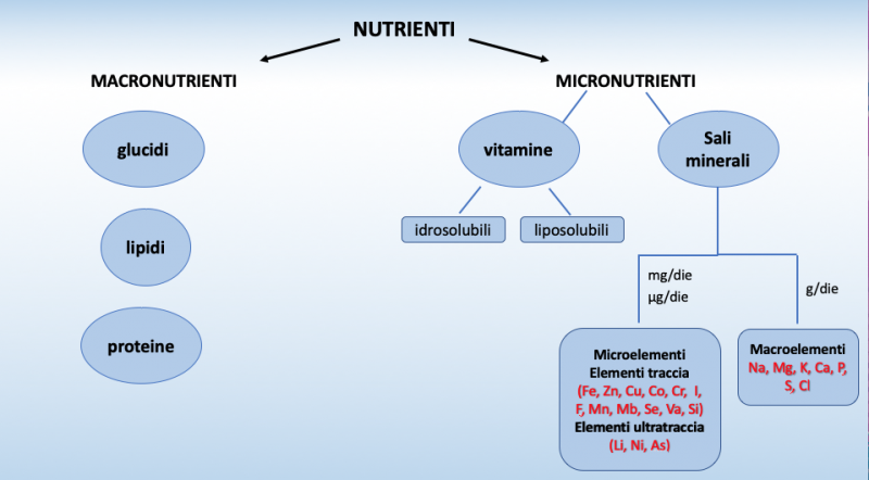 Biochimica della Nutrizione - 1. Alimenti e nutrienti - Federica.EU