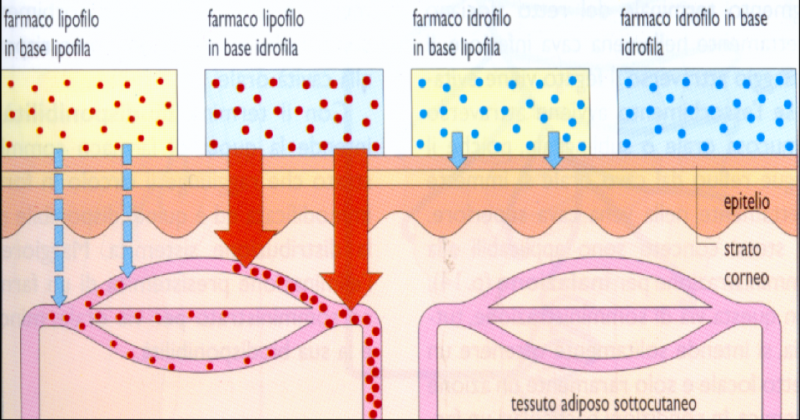 Tossicologia - 1. Introduzione al corso di Tossicologia, Assorbimento ...